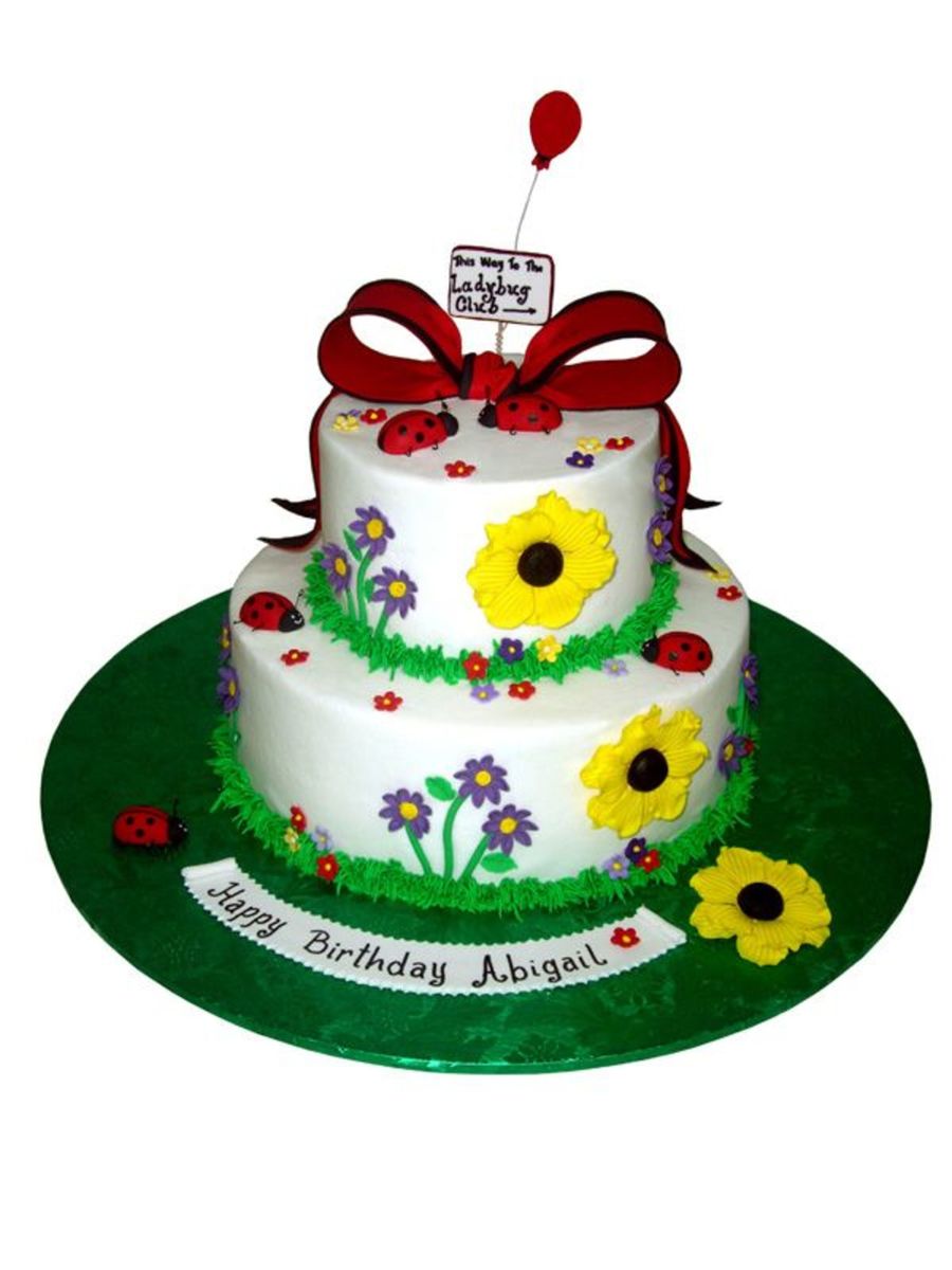 Ladybug Cake - CakeCentral.com