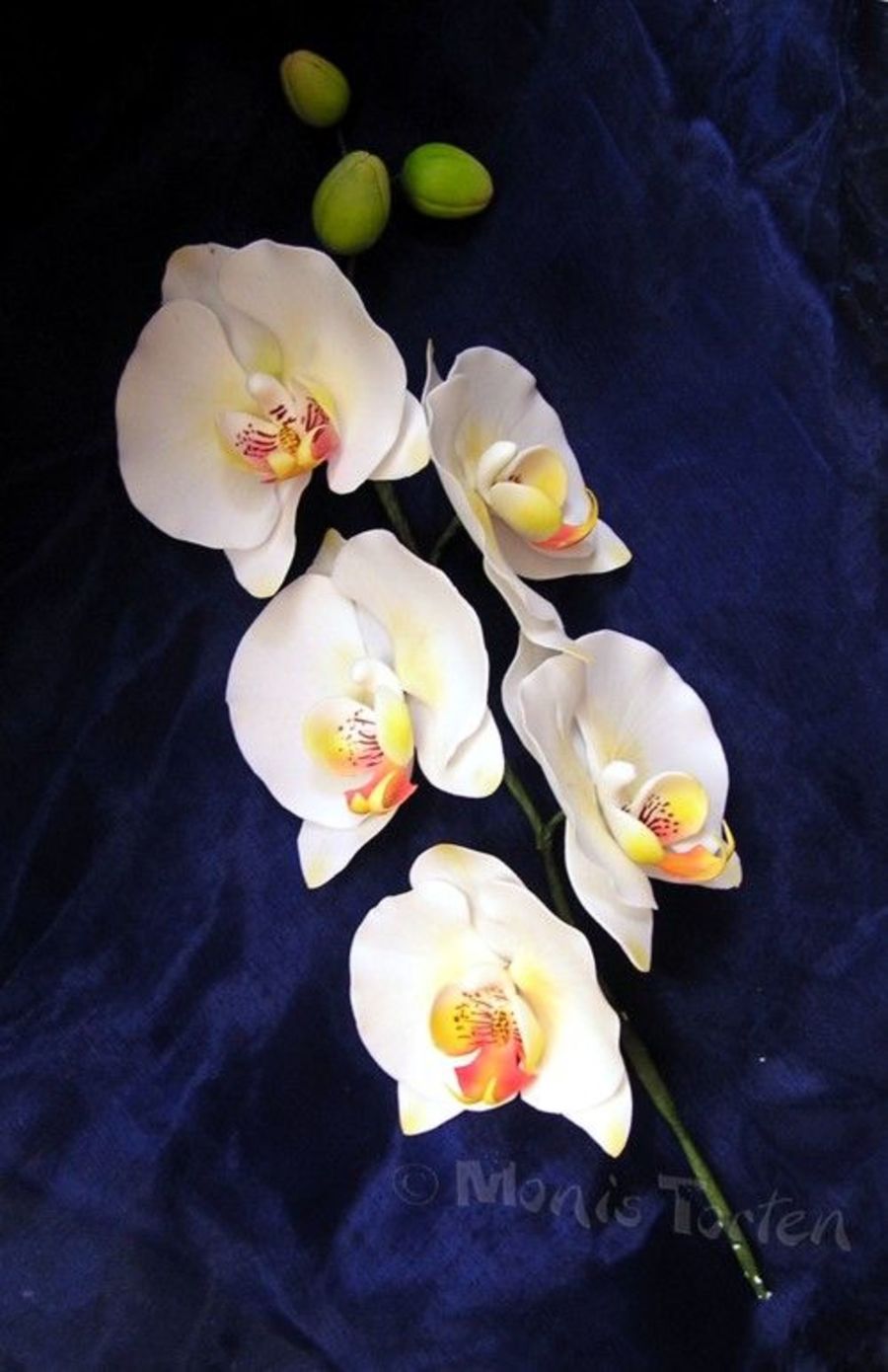 Phalaenopsis - Moth Orchid - CakeCentral.com