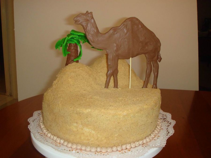 Camel Cake - CakeCentral.com