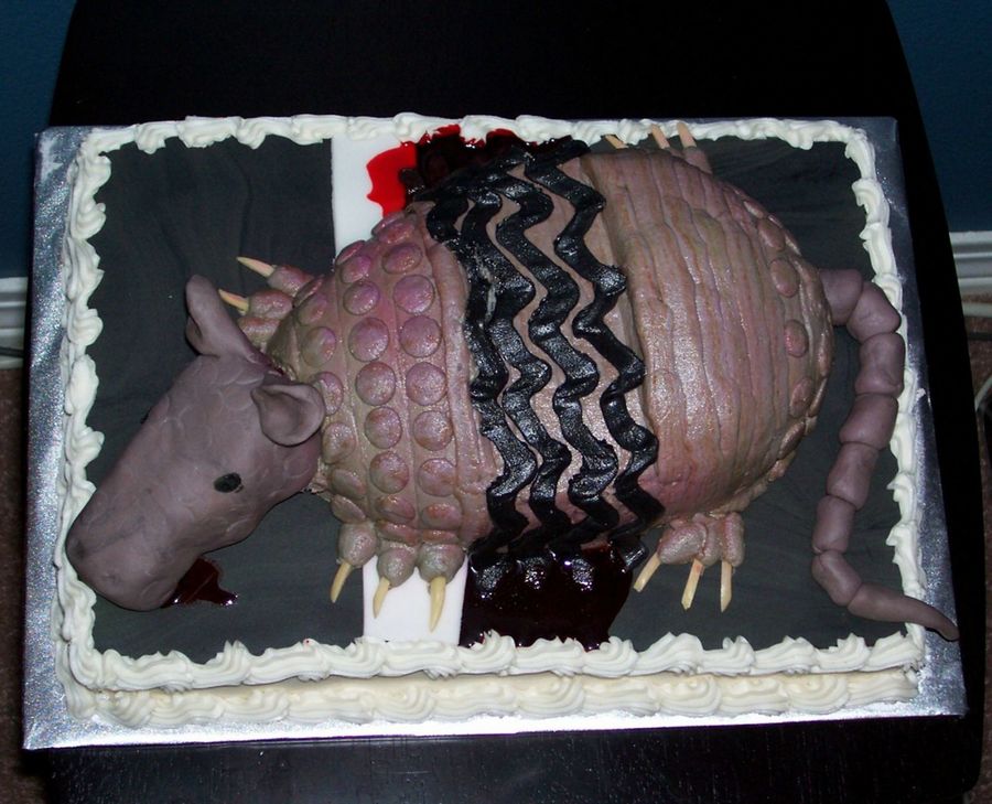 Roadkill Armadillo - CakeCentral.com