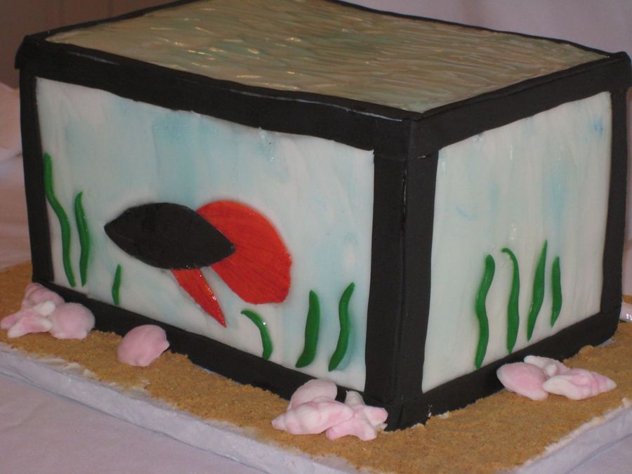 Fish Tank - CakeCentral.com