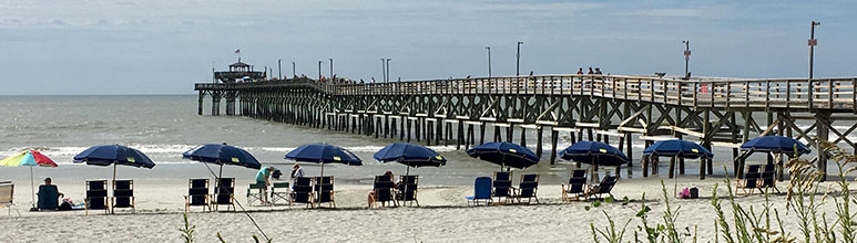 Charleston, SC Metro Area Real Estate & Homes for Sale | Carolina One ...