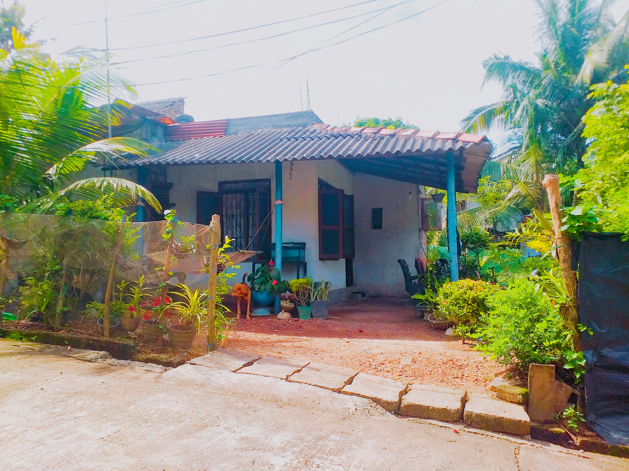 A house with 10 perches – Adz.lk – Classified Ads & Directory Listing