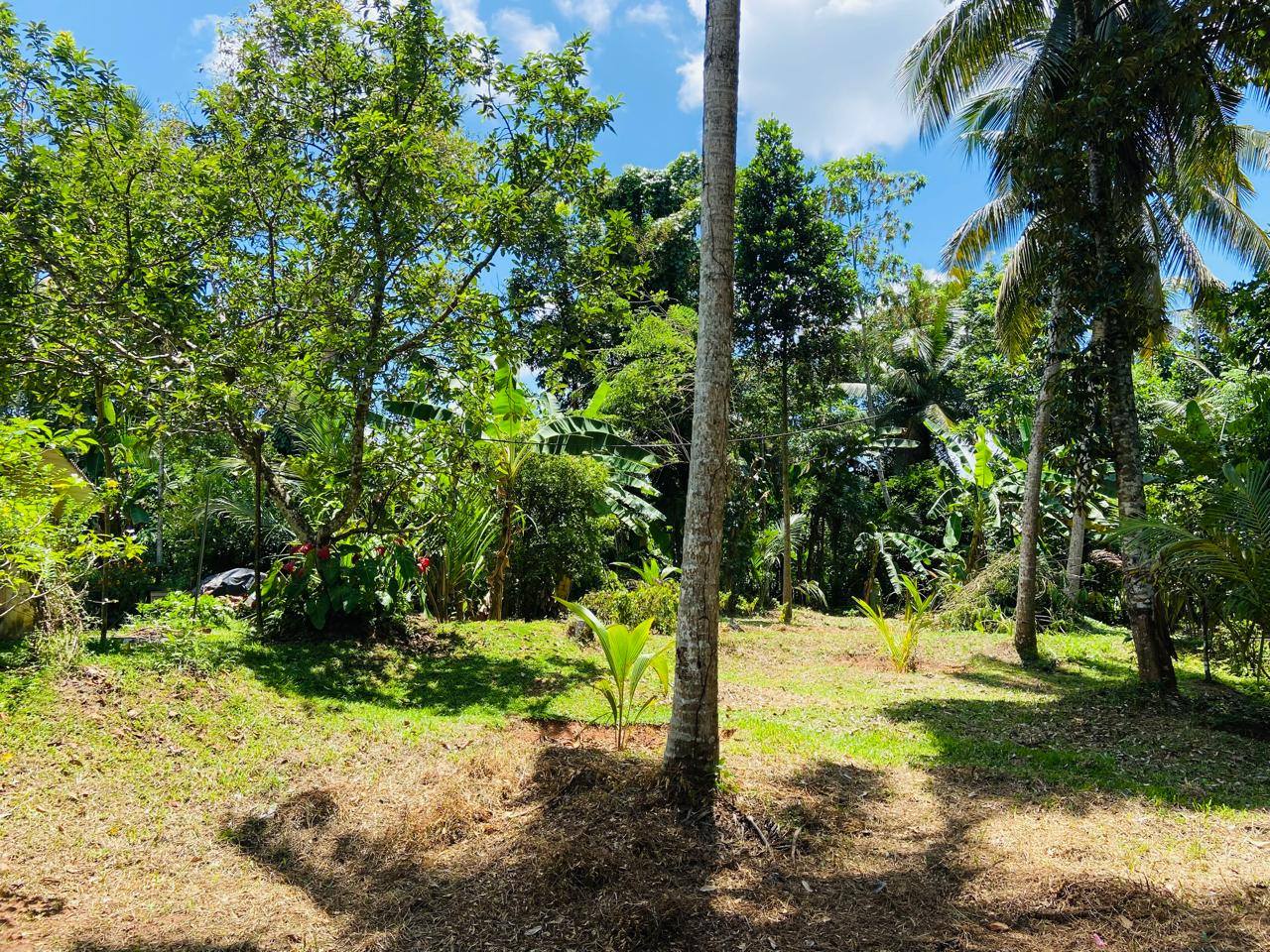 Veyangoda – Adz.lk – Classified Ads & Directory Listing