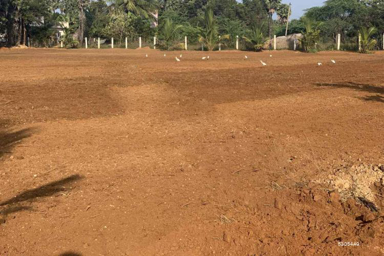 11+ Perches land – Adz.lk – Classified Ads & Directory Listing