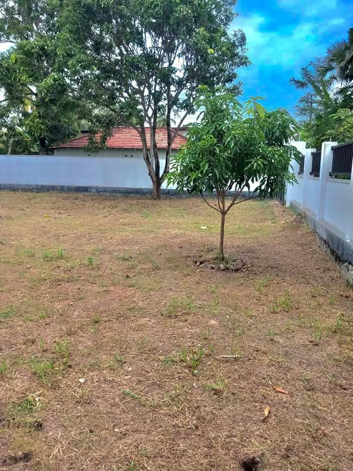 25 Perch Square Land For Sale – Adz.lk – Classified Ads & Directory Listing