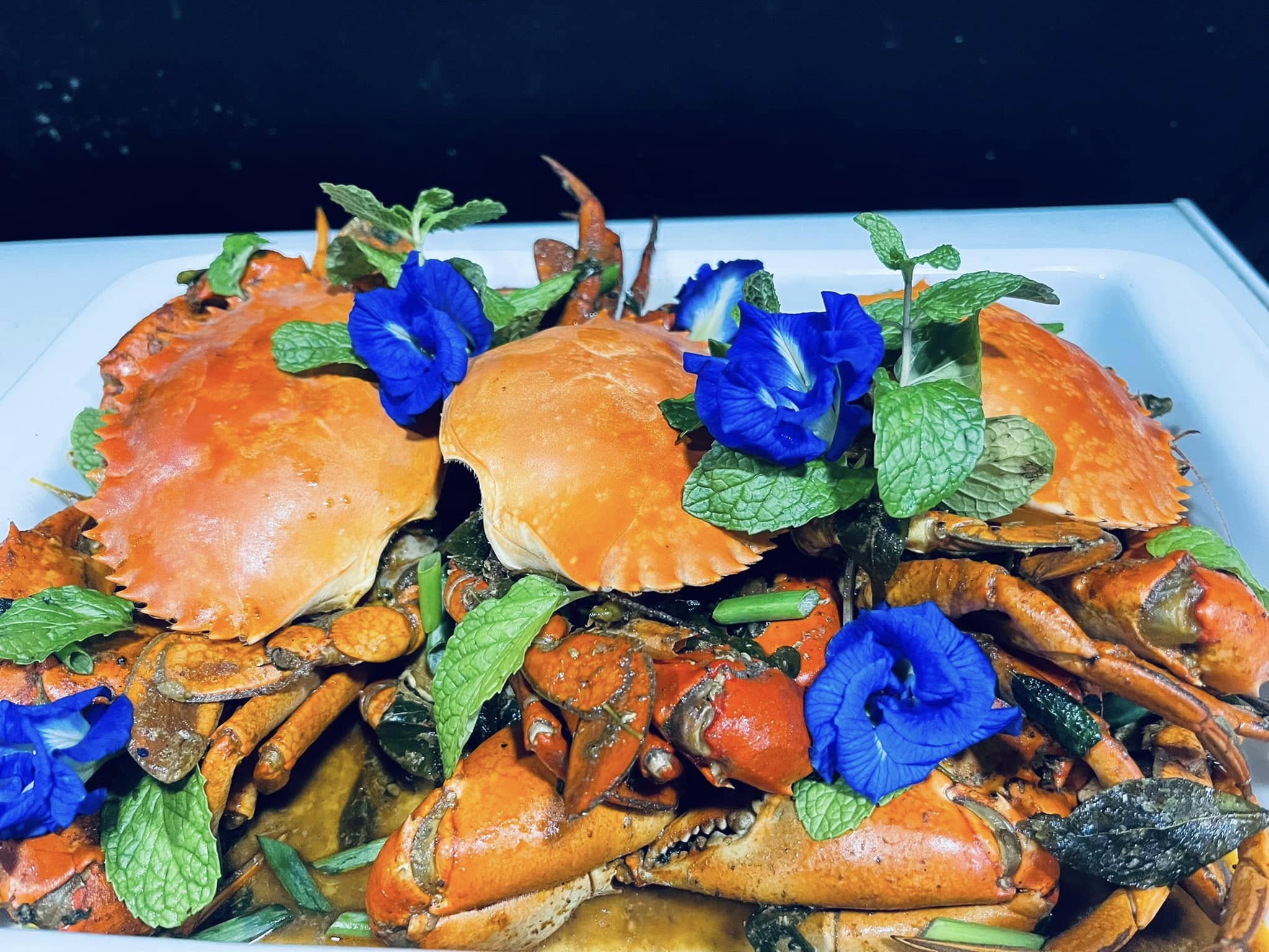 Negombo Mud Crab – Adz.lk – Classified Ads & Directory Listing
