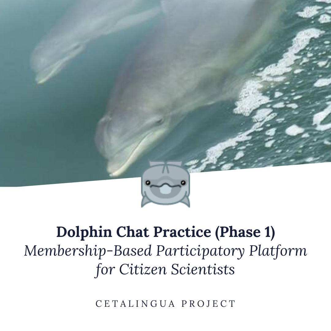 Dolphin Chat Workflow 1 Practice | Cetalingua Project