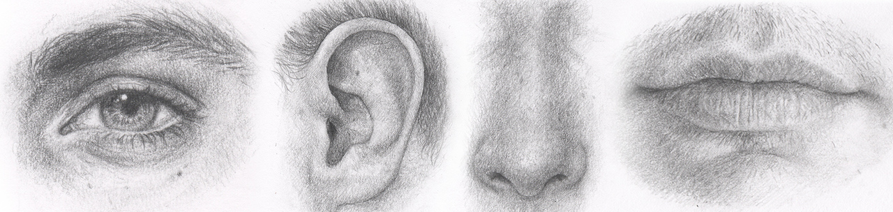 Drawing the Facial Features - CG Cookie