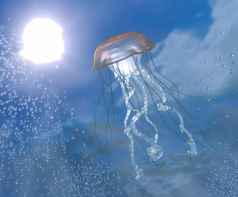 About Solidify Modifier - CG Cookie