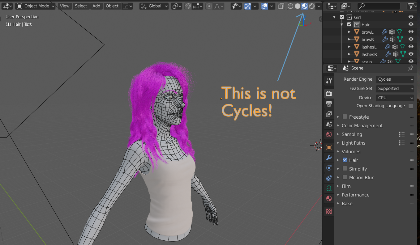 Blender Tutorial, Hair Principle Shader 2.8x Problem - CG Cookie