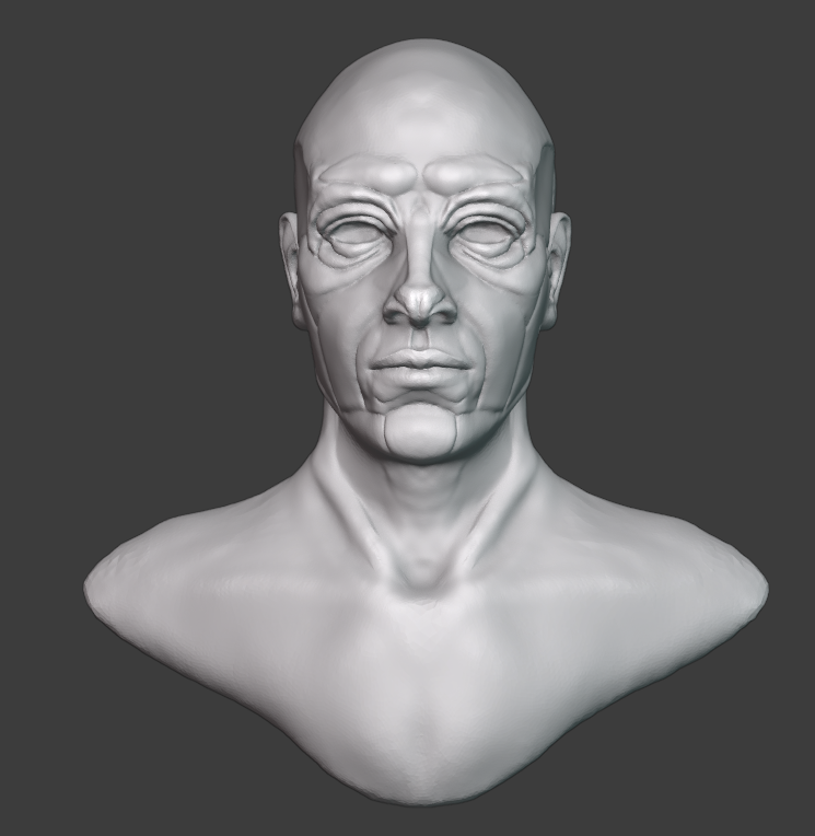 Face anatomy study - CG Cookie