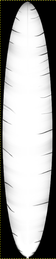 Painting Piero's Feather Textures in GIMP: Duerer's Progress - CG Cookie