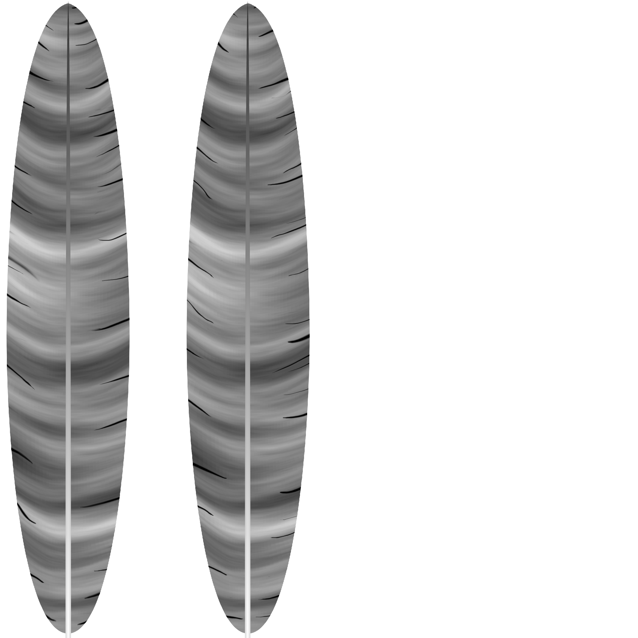 Painting Piero's Feather Textures in GIMP: Duerer's Progress - CG Cookie