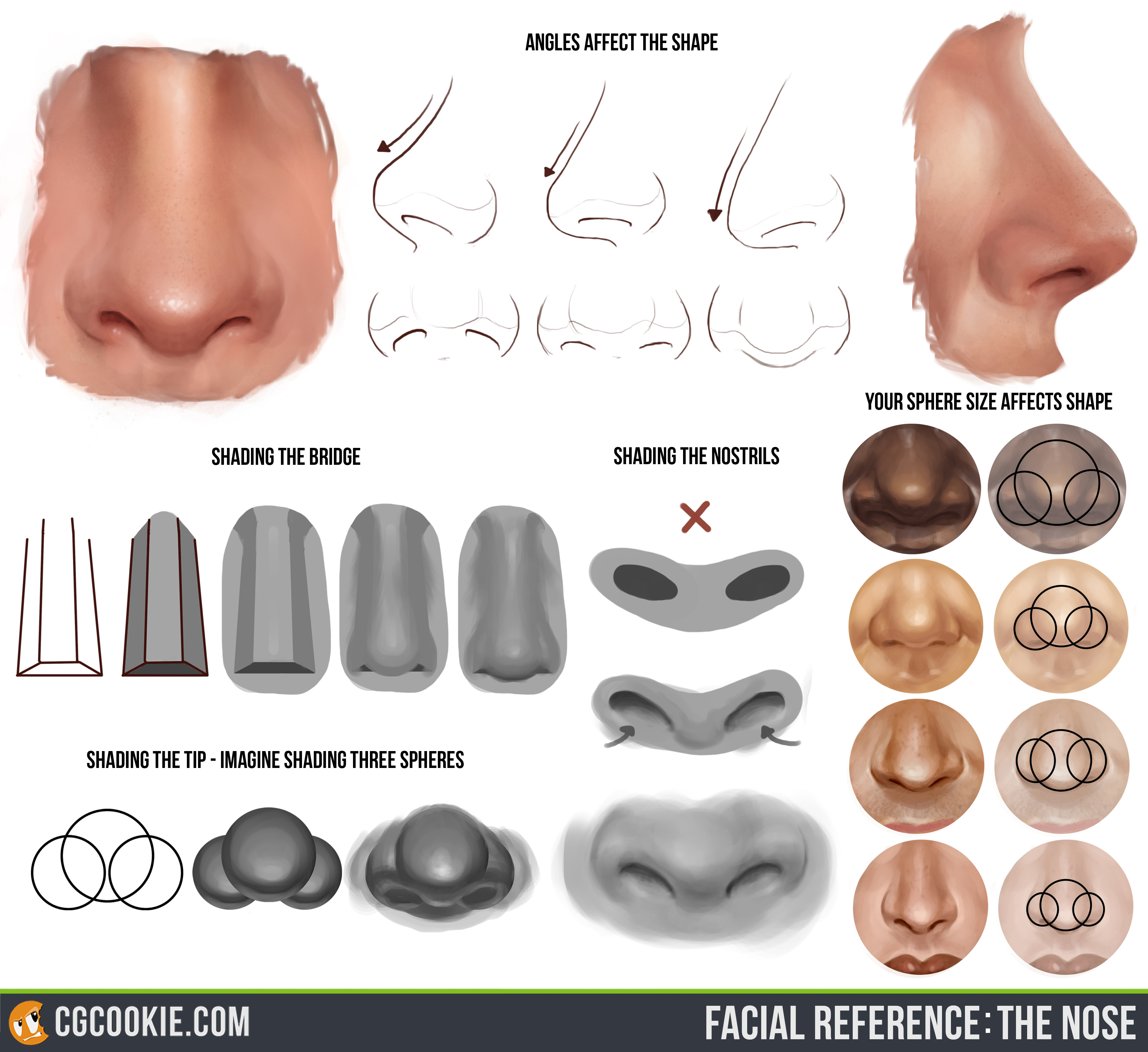 Let s Draw The Nose CG Cookie