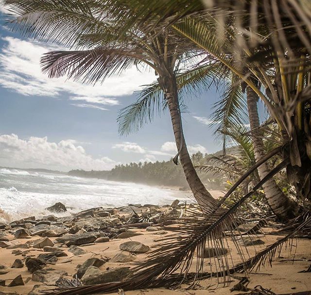 Mark Dunn – Conceptual & Advertising Photographer