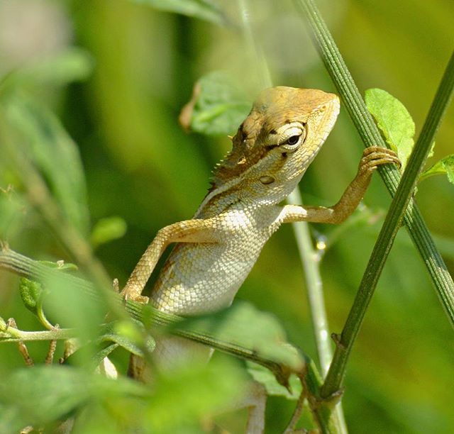 Kingshuk Mukherjee – Travel & Landscape Photographer