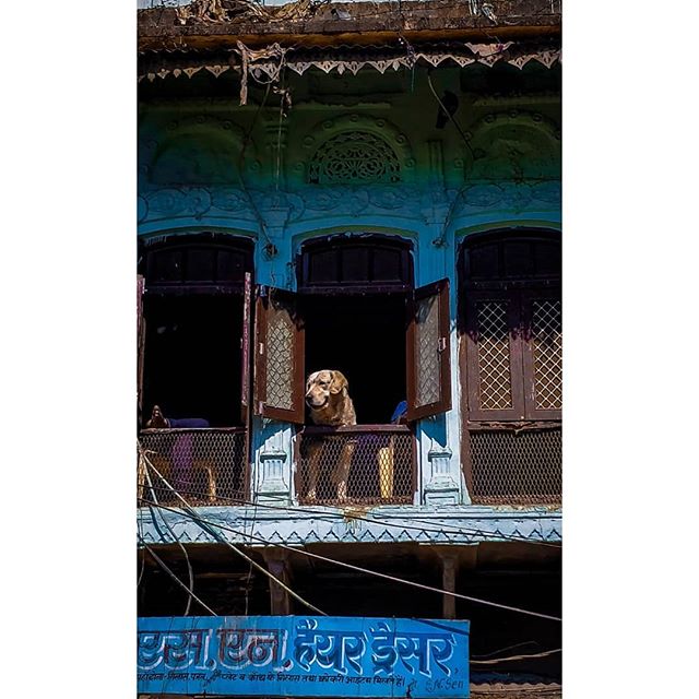 puranjay singh chouhan – Editorial & Documentary Photographer