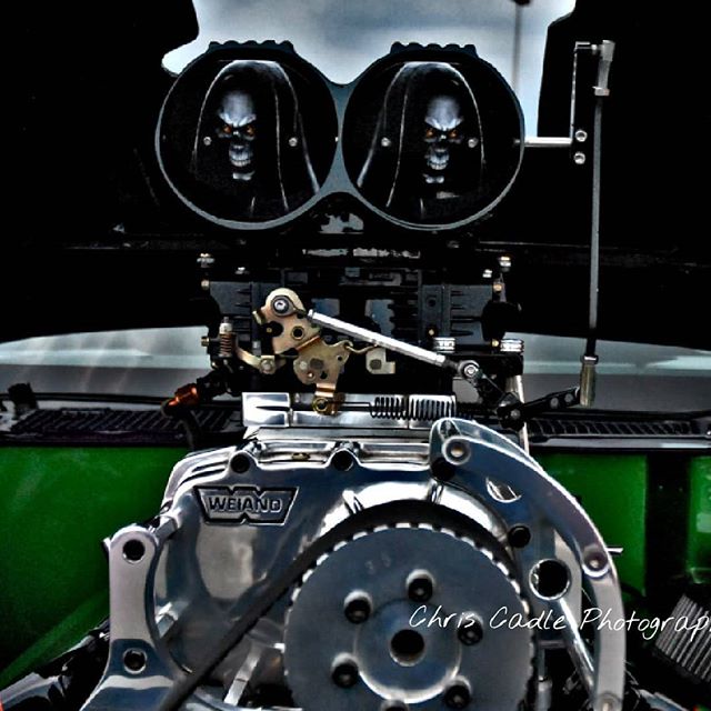 Christopher Cadle – Nature & Animals Photographer