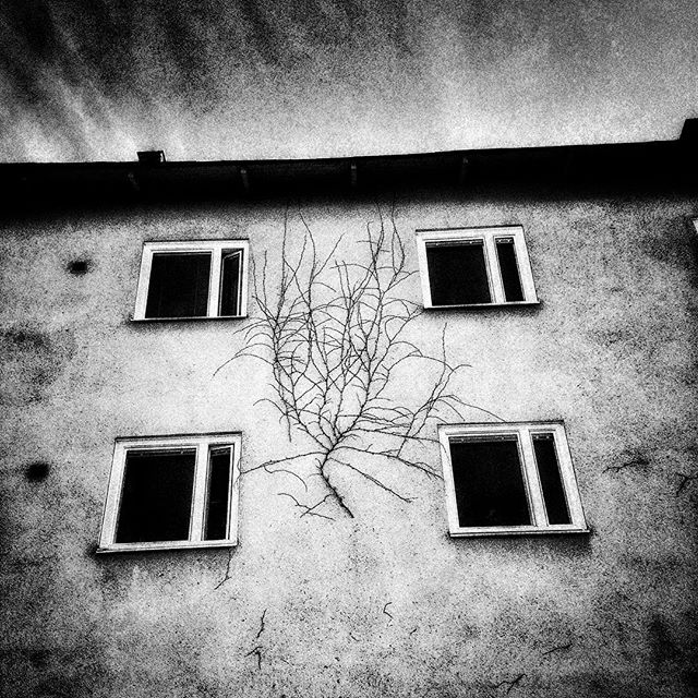 Jonas Berggren – Editorial & Documentary Photographer