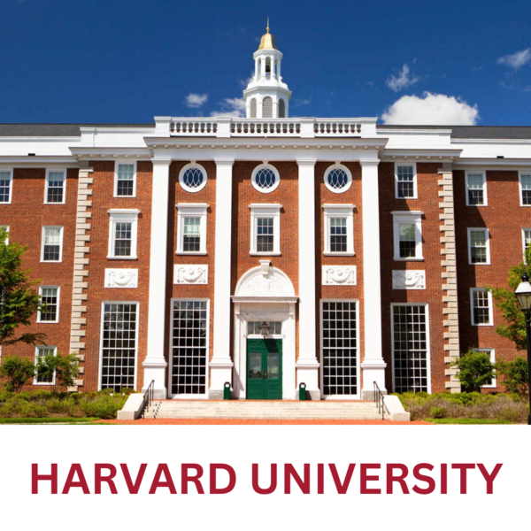 LIVE AI Ivy Plus 2025: The premier accelerator-backed hackathon program. A fresh and excellent ...