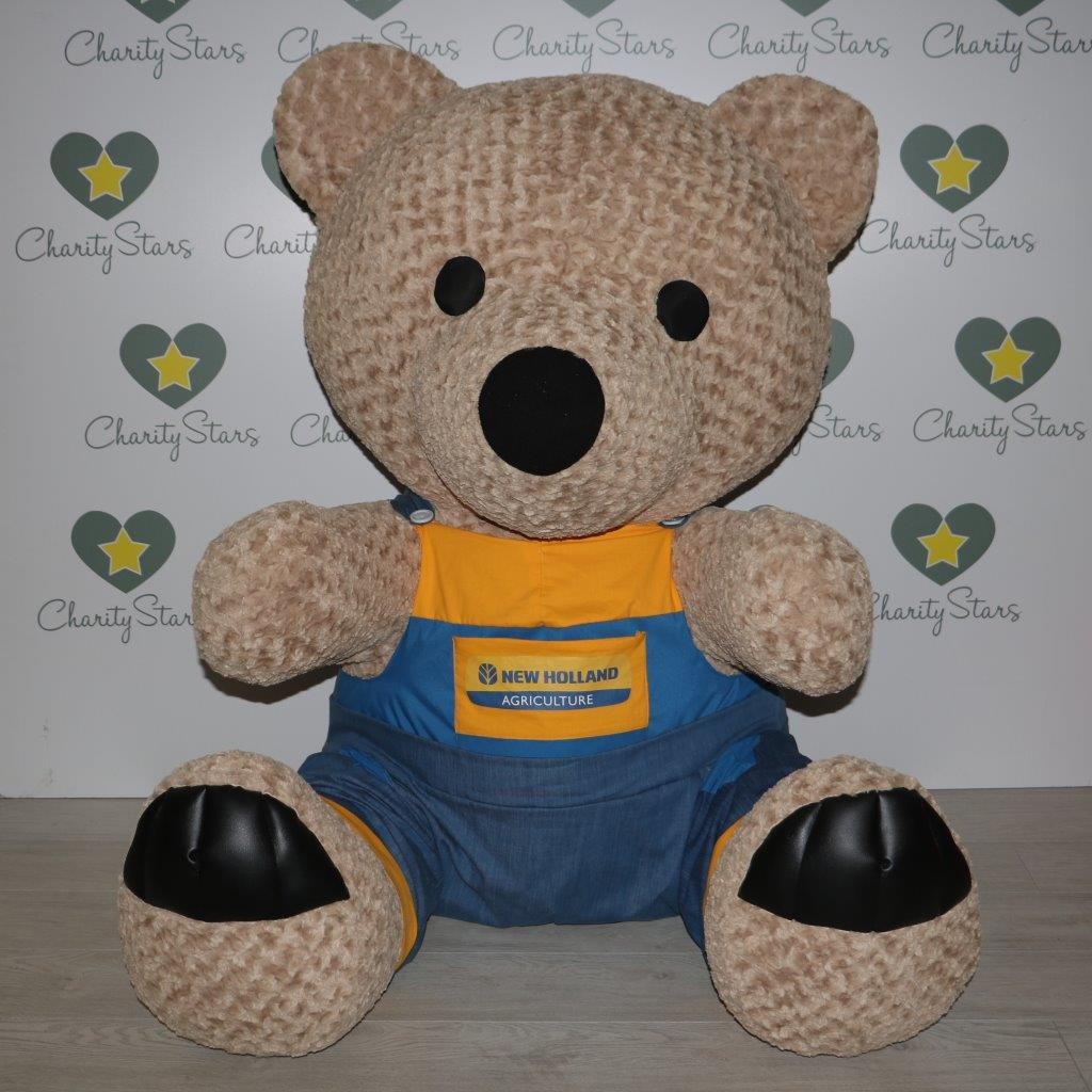 Maxi bear peluche, Telethon's mascot - CharityStars