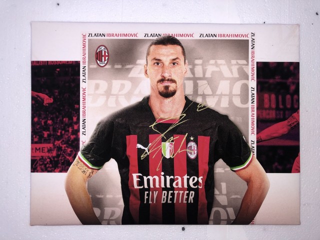 Zlatan Ibrahimovic Signed Canvas - CharityStars