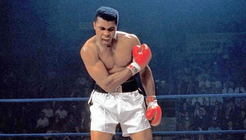 Guantone Everlast autografato da Muhammad Ali e le leggende della Boxe - CharityStars