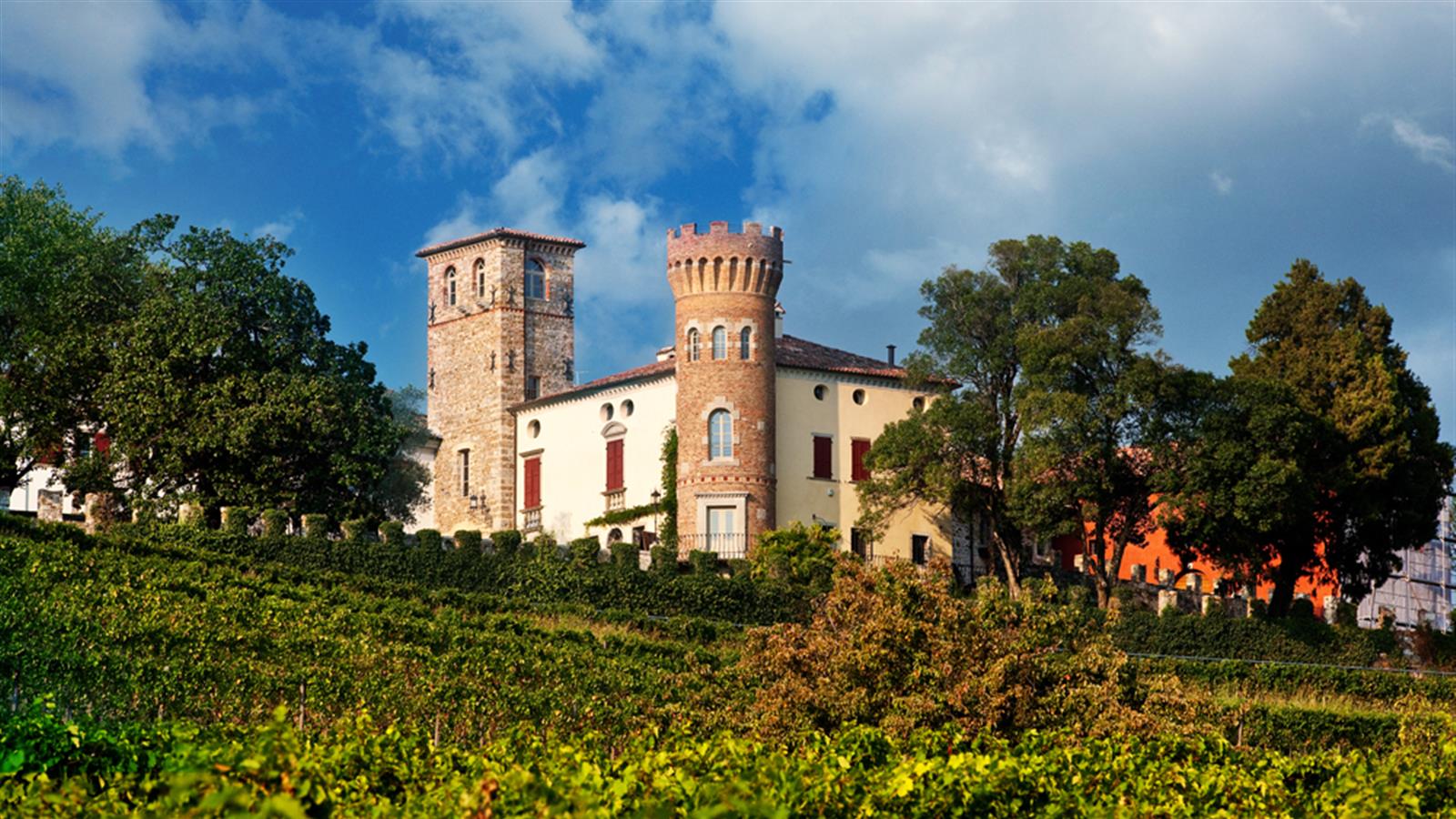Two Cases of Riserva Wine - Castello di Buttrio - CharityStars
