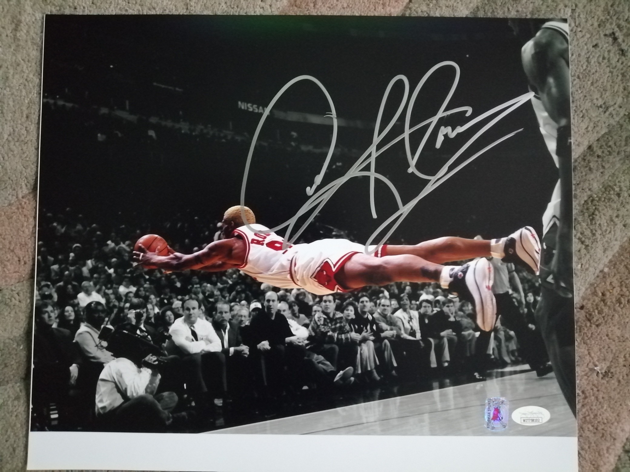 Dennis Rodman Signed Chicago Bulls Picture - CharityStars