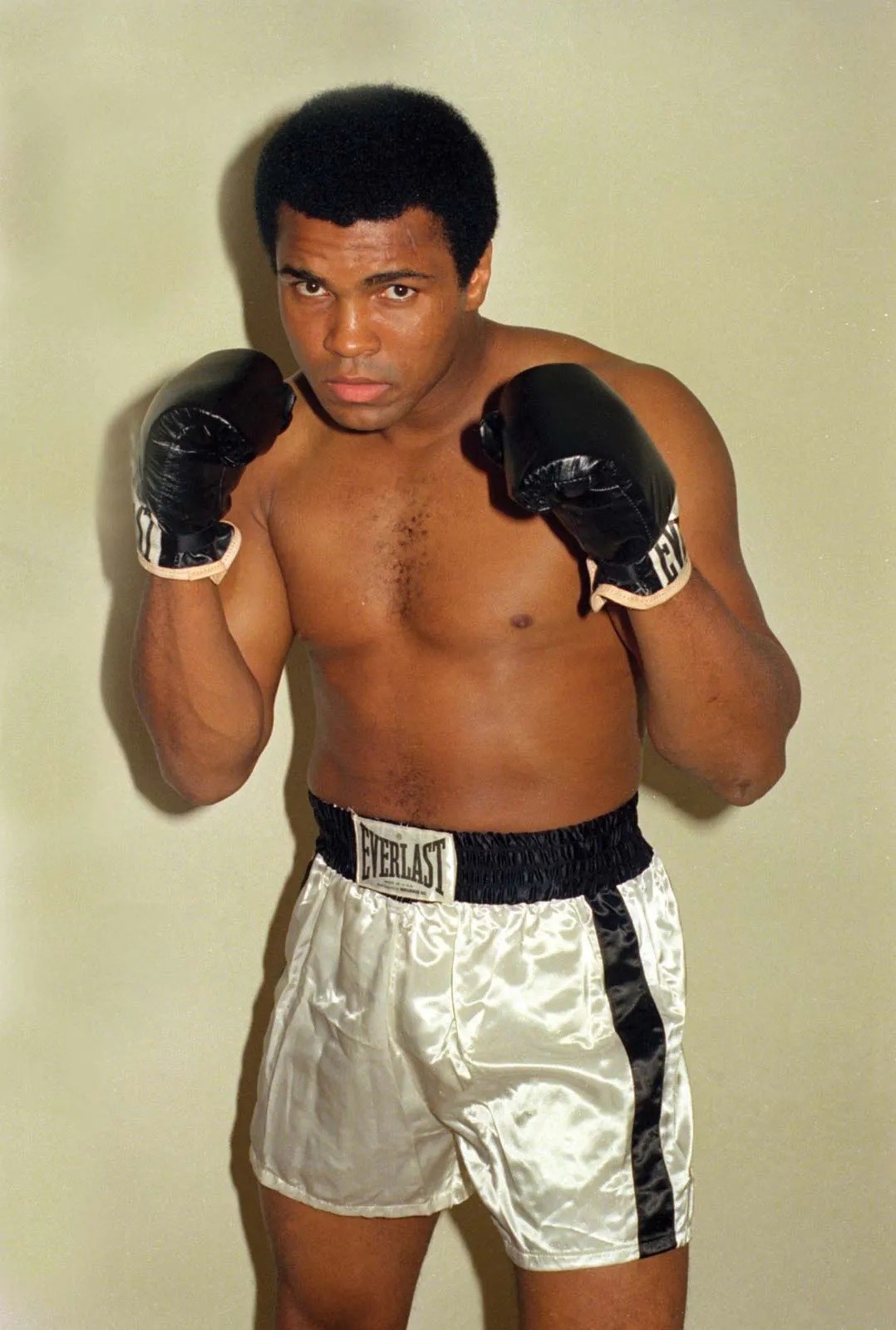 Guantone Everlast autografato da Muhammad Ali e le leggende della Boxe - CharityStars