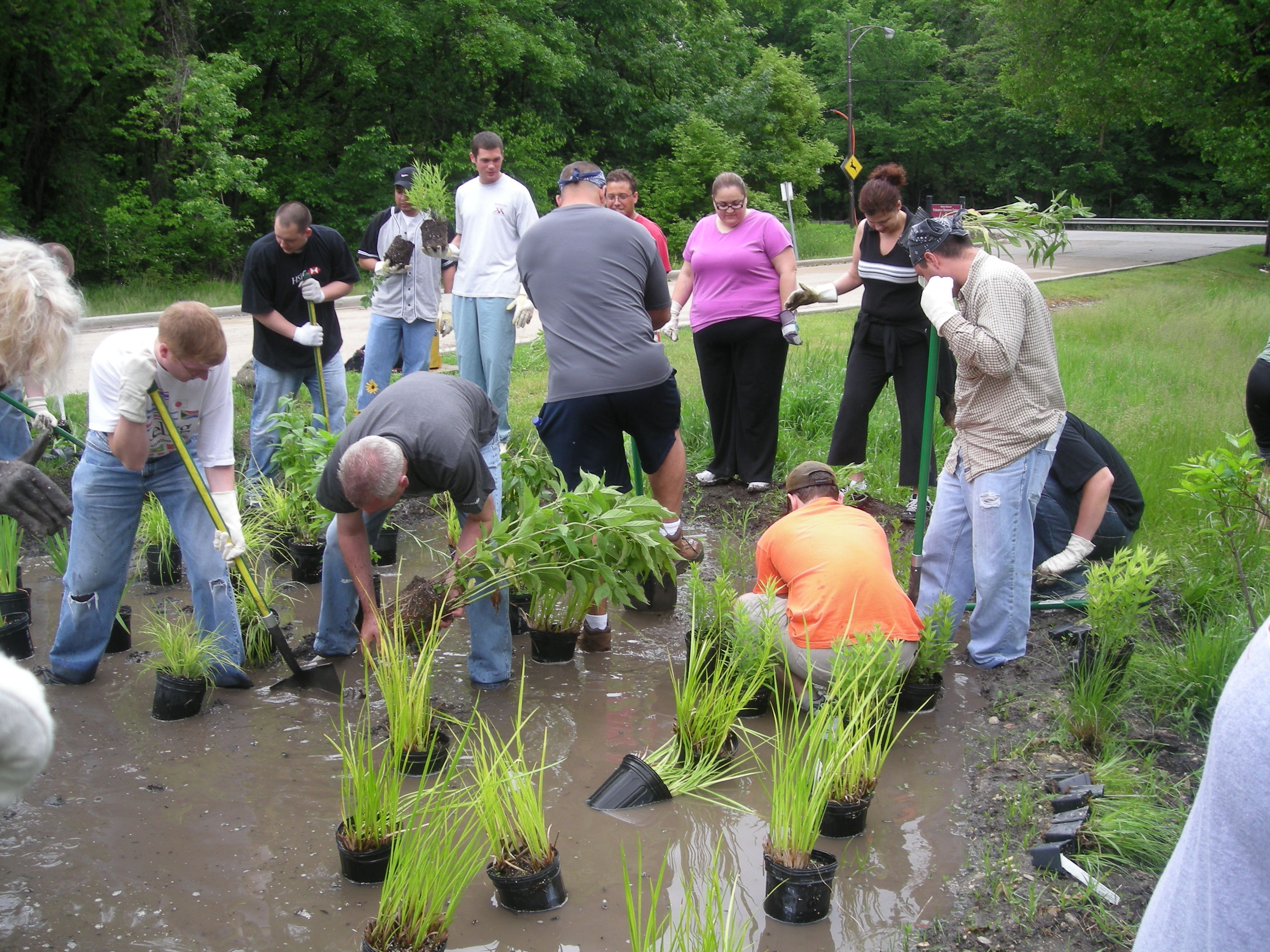 North Shore Channel Planting - Events - Friends of the Chicago River
