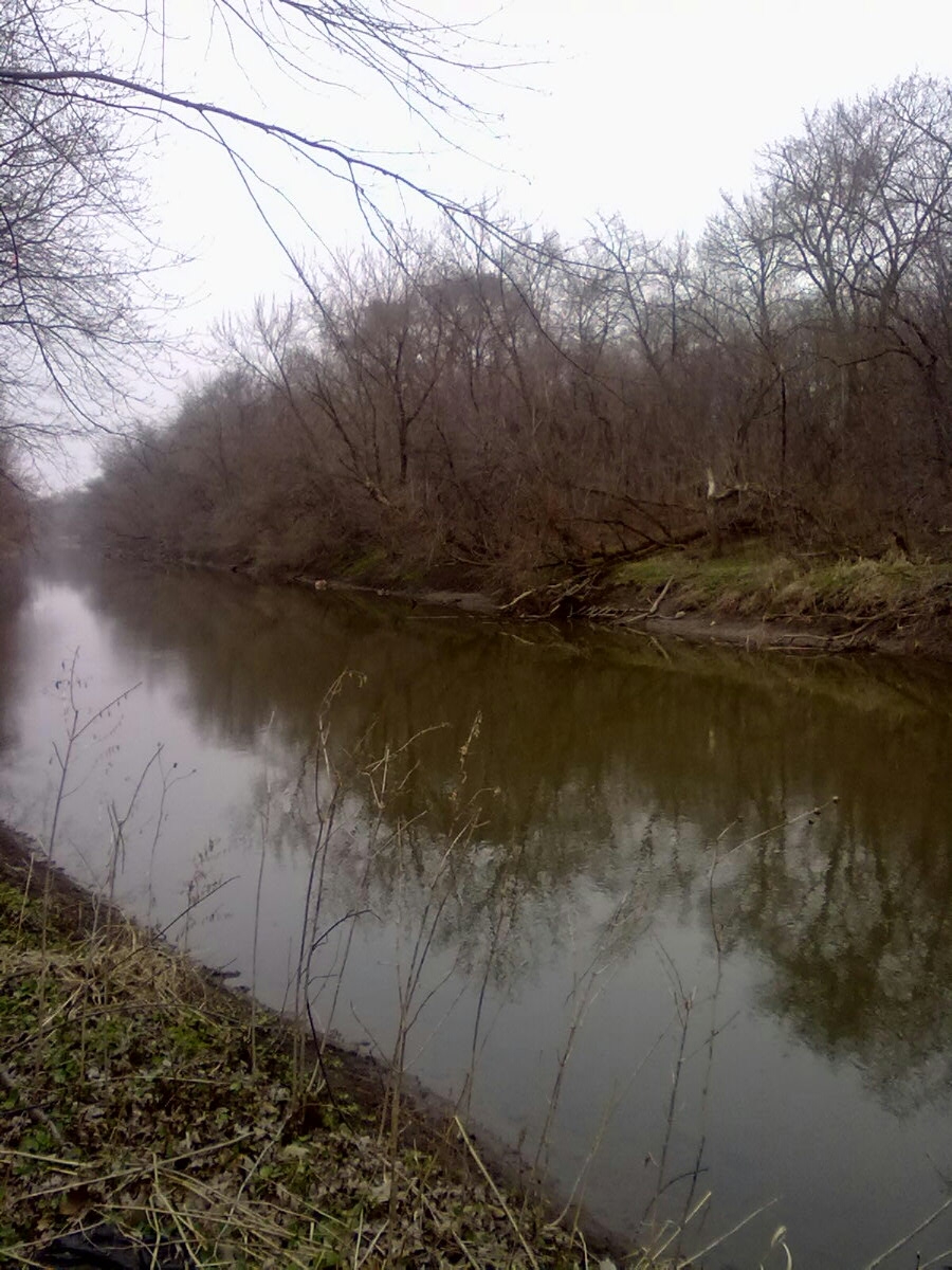 Kickapoo Woods - Centennial Volunteers - Events - Friends of the ...