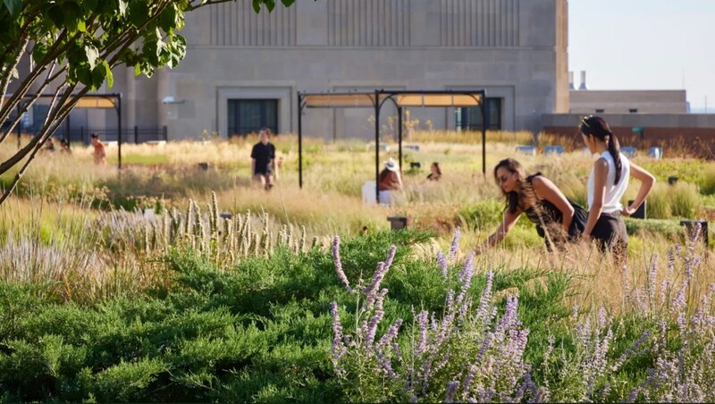 Chicago River Blue Awards - Policy and Planning Featured Programs ...