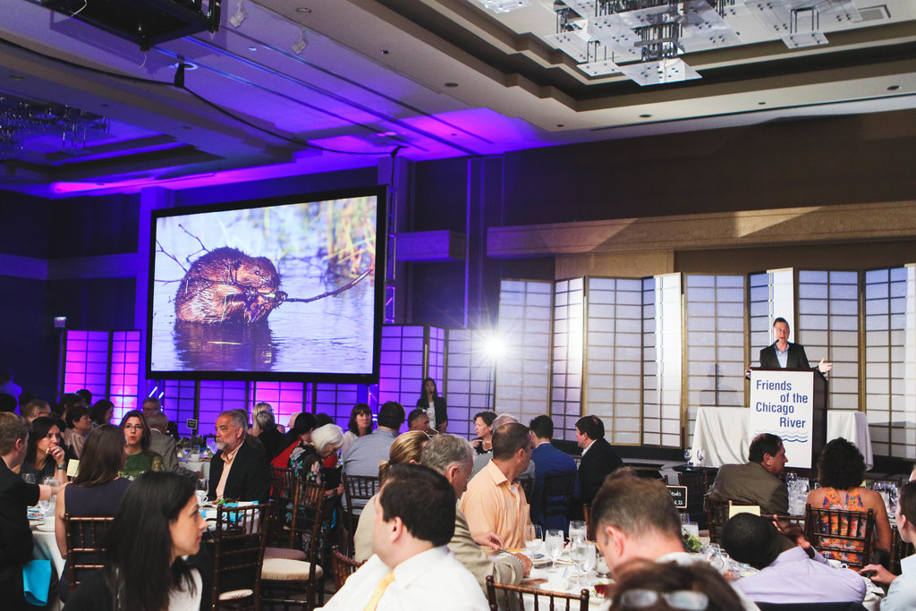 Big Fish Ball - Attend - Get Involved - Friends of the Chicago River