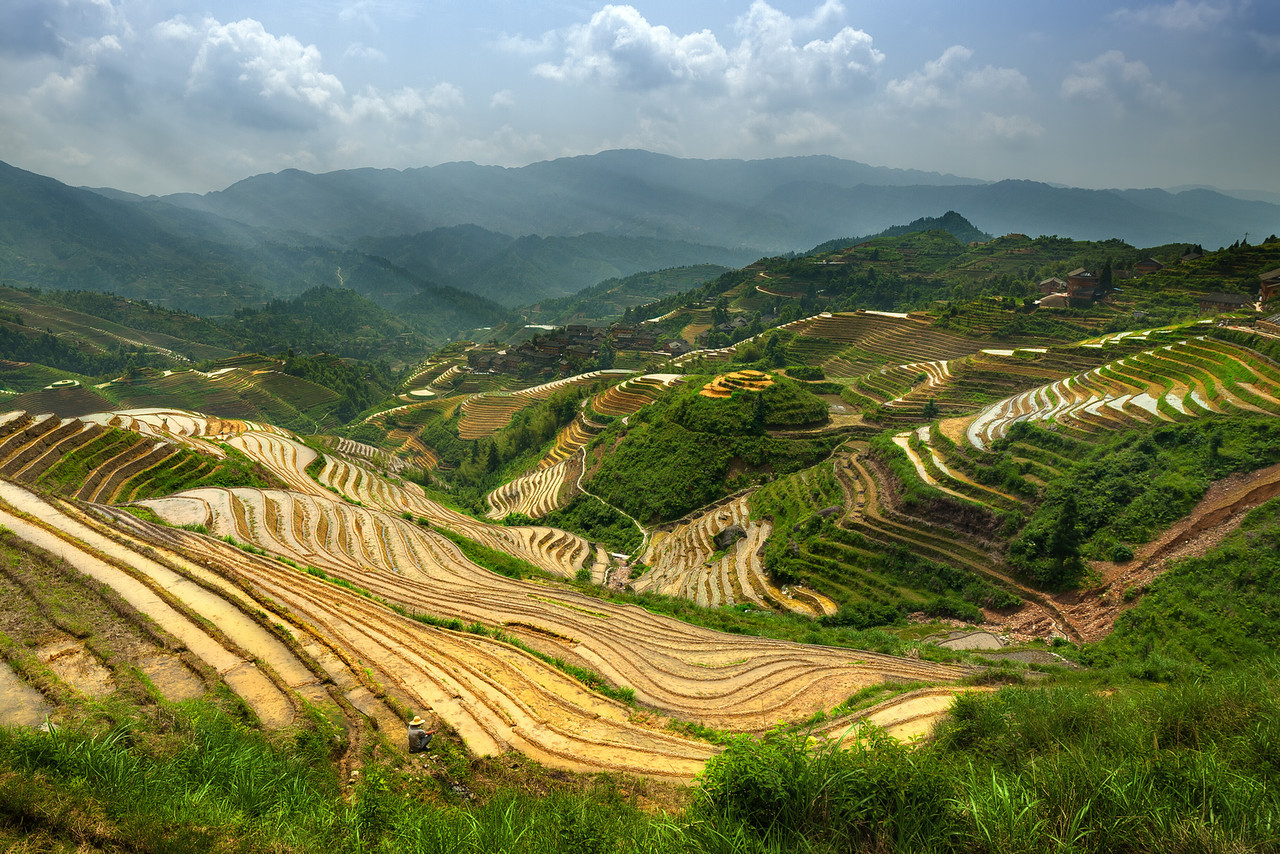 CLI Featured Photographer: Peter Stewart | CLI