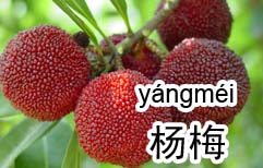 Chinese Fruits · Chinese Lesson