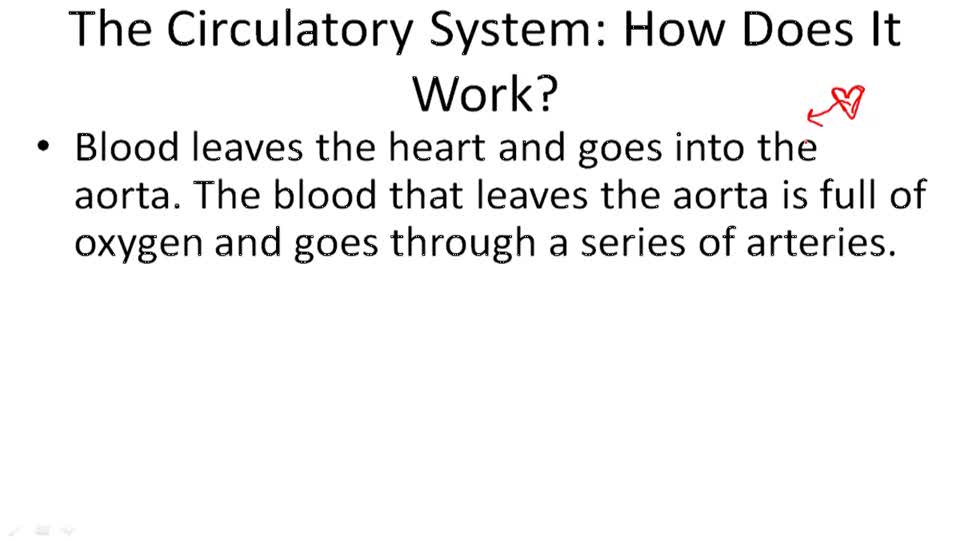 Human Body Systems - Example 4 ( Video ) | Biology | CK-12 Foundation