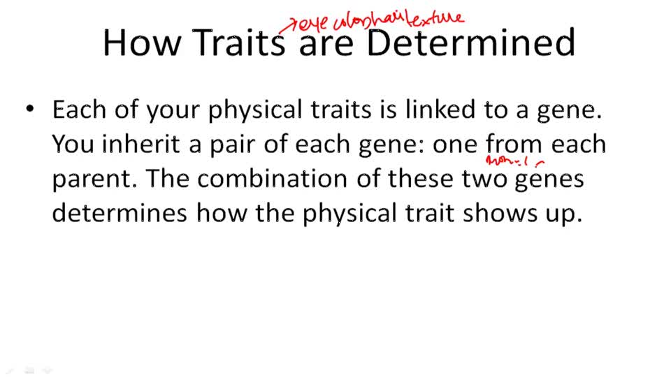 Inheritance - Example 1 ( Video ) | Biology | CK-12 Foundation