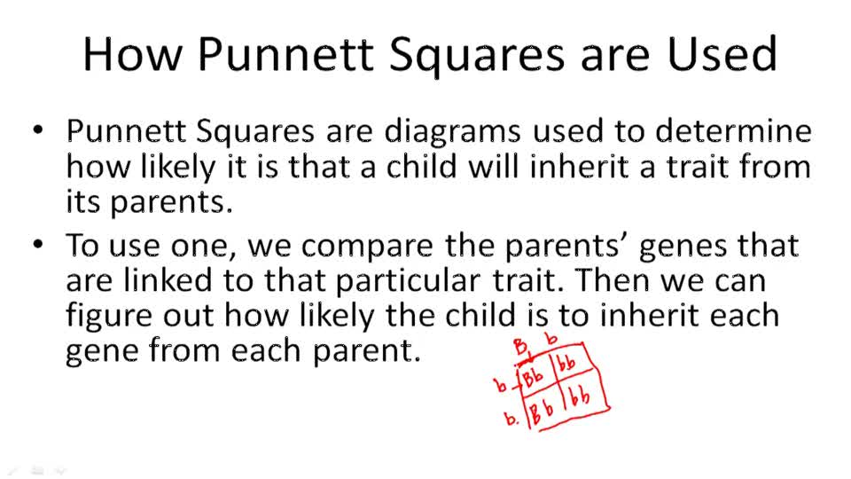 Inheritance - Example 3 ( Video ) | Biology | CK-12 Foundation