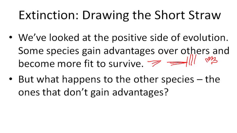Extinction - Example 1 ( Video ) | Biology | CK-12 Foundation