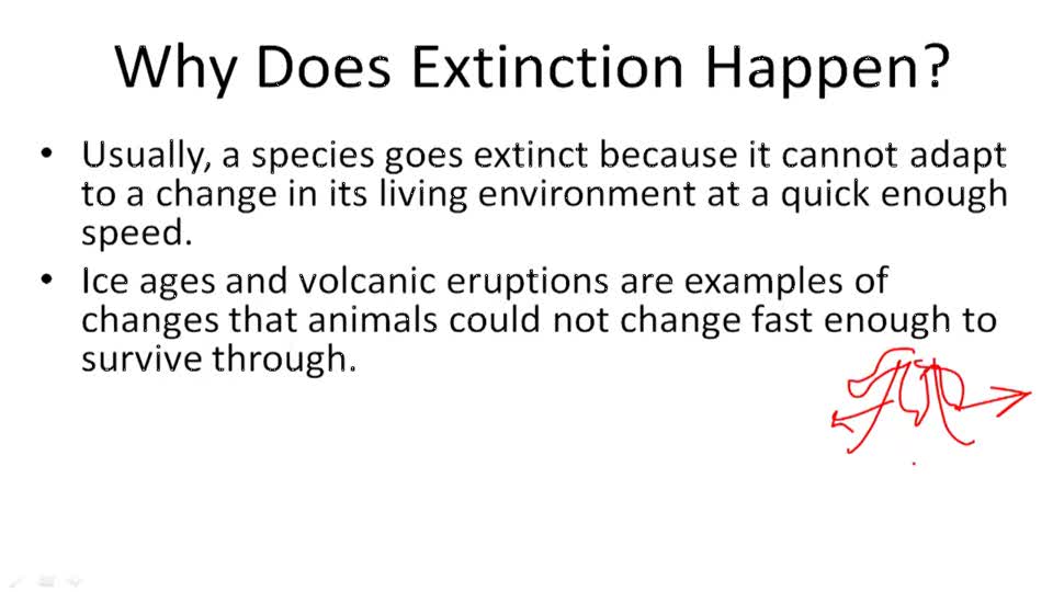 Extinction - Example 2 ( Video ) | Biology | CK-12 Foundation