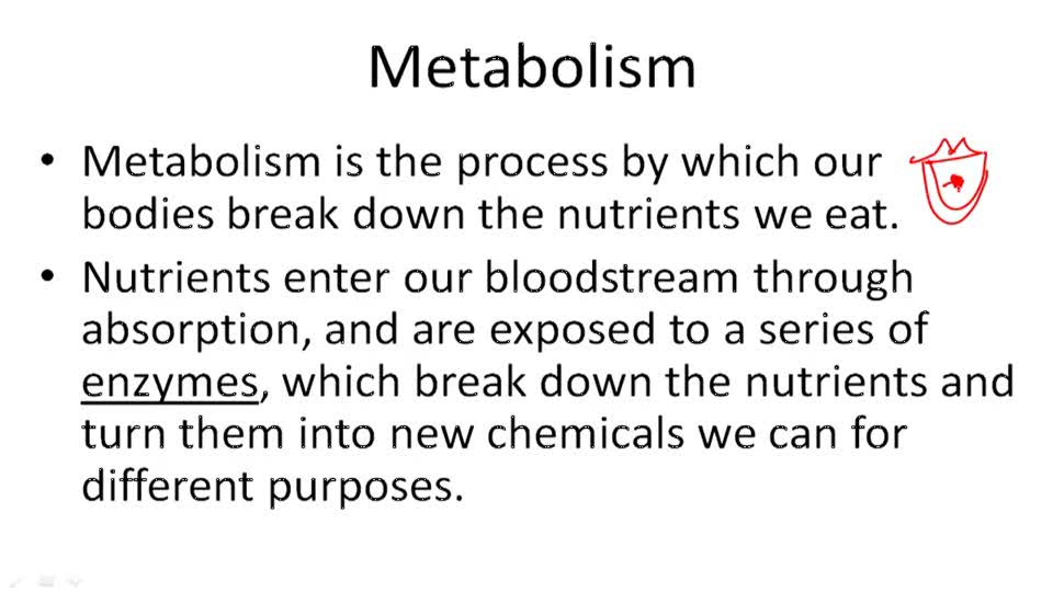 Human Nutrition - Example 2 ( Video ) | Biology | CK-12 Foundation