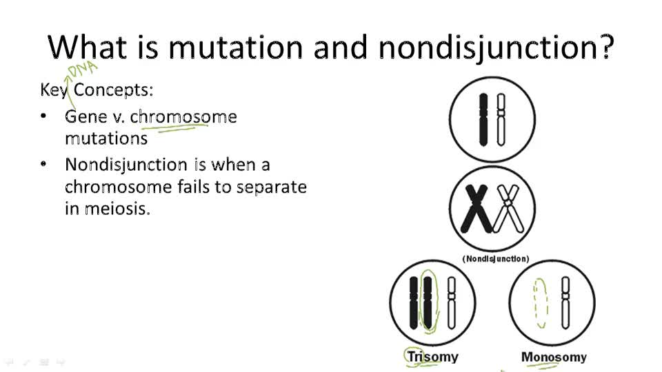 Complex Inheritance Patteerns - Example 5 ( Video ) | Biology | CK-12 ...