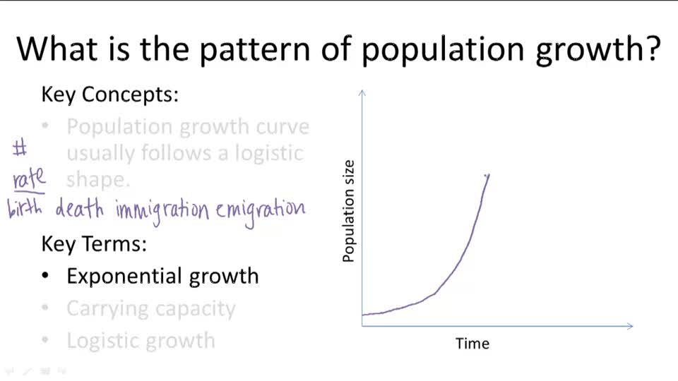 Properties and Growth of Populations - Example 1 ( Video ) | Biology ...