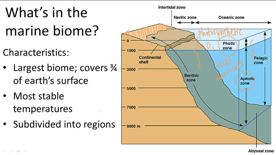 Biomes - Example 1 ( Video ) | Biology | CK-12 Foundation