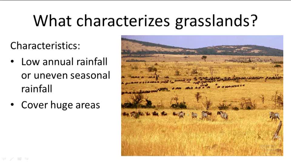 Biomes - Example 3 ( Video ) | Biology | CK-12 Foundation