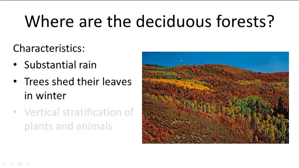 Biomes - Example 4 ( Video ) | Biology | CK-12 Foundation