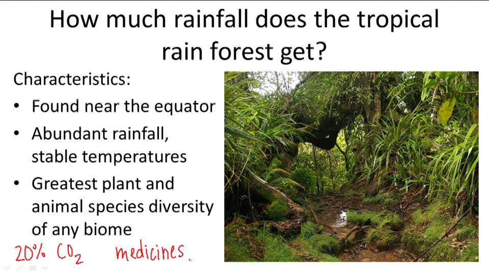 Biomes - Example 7 ( Video ) | Biology | CK-12 Foundation