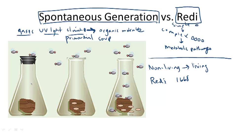 Theories of Origins of Life and Evolution - Example 1 ( Video ...